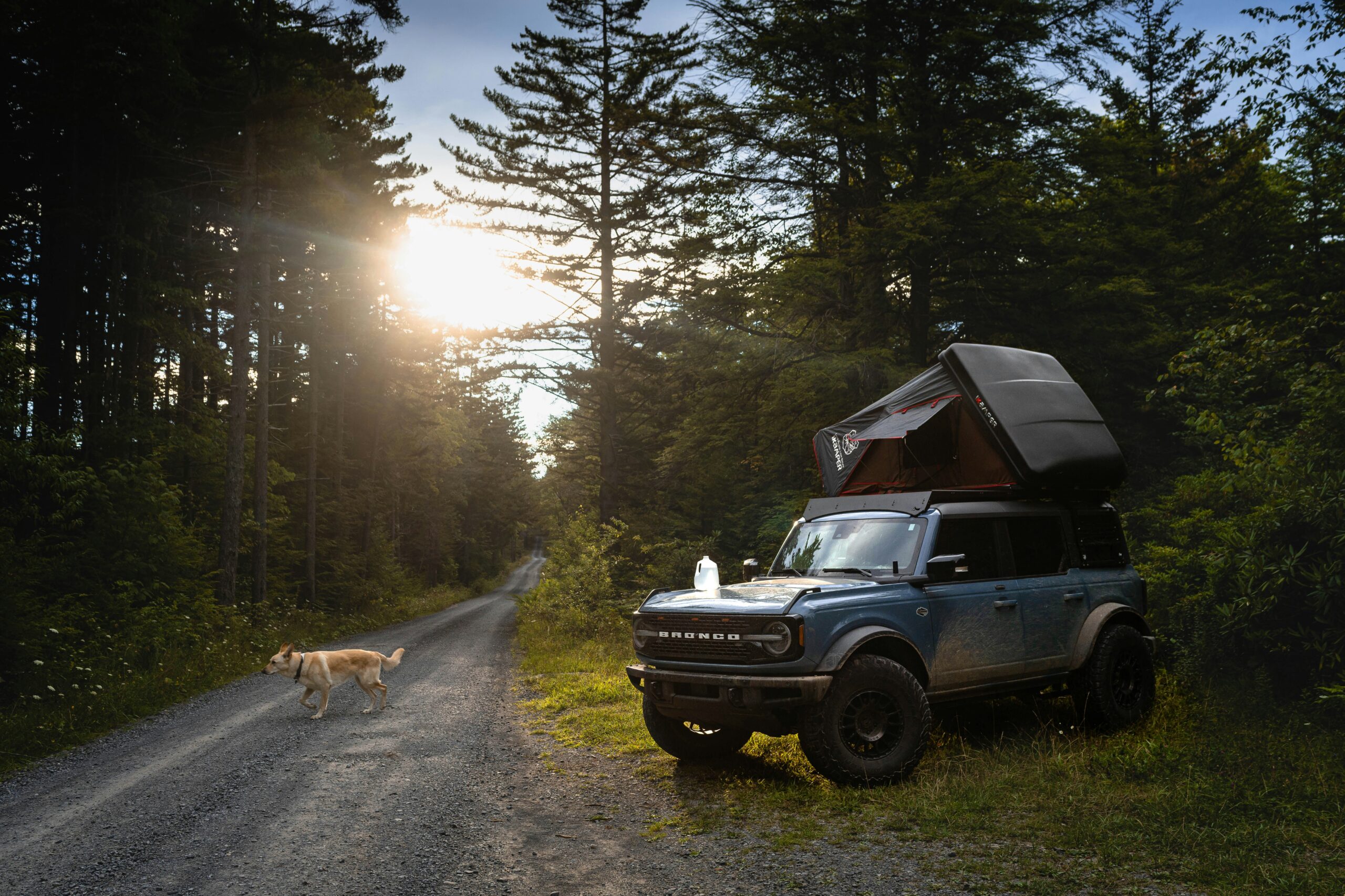Home - The Overland Bronco